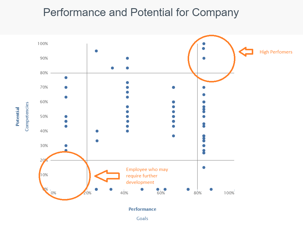 Identifying Performance and Potential
